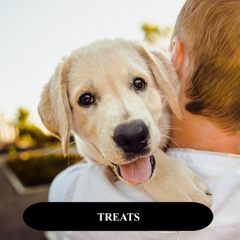 Dog Treats – The Delicious Dog Food Company